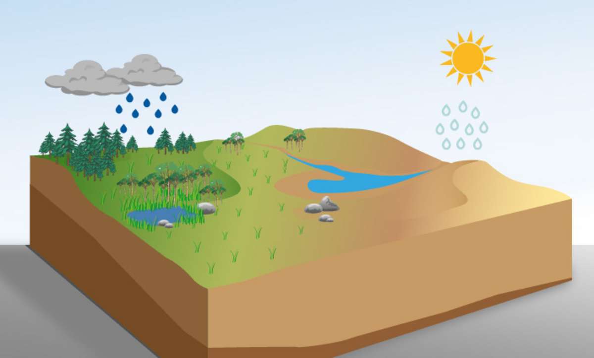 Arid oder humid? - ESKP