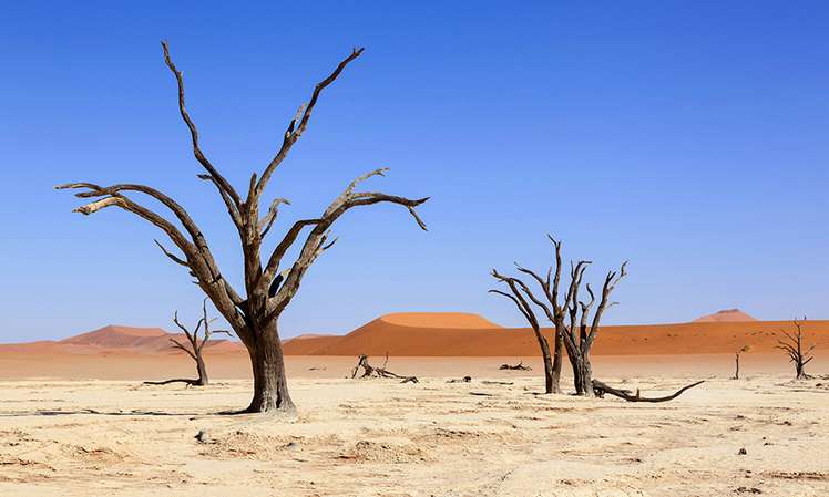 Bild-Expedition durch die Wüsten der Erde - ESKP